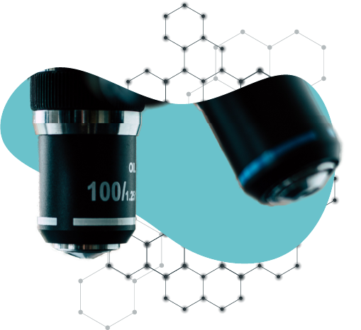 MolEvo | The Decision-Making Software for the Chemical Industry