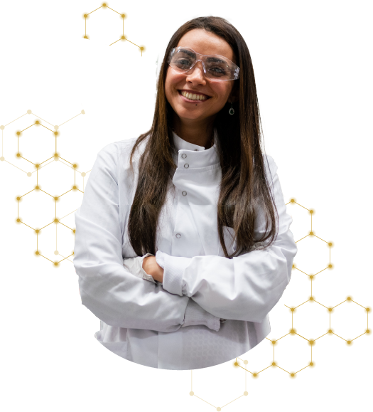 MolEvo | The Decision-Making Software for the Chemical Industry